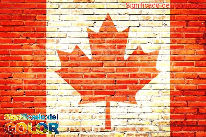 Colores de las Banderas 🤔 ¿Conoces sus significados?