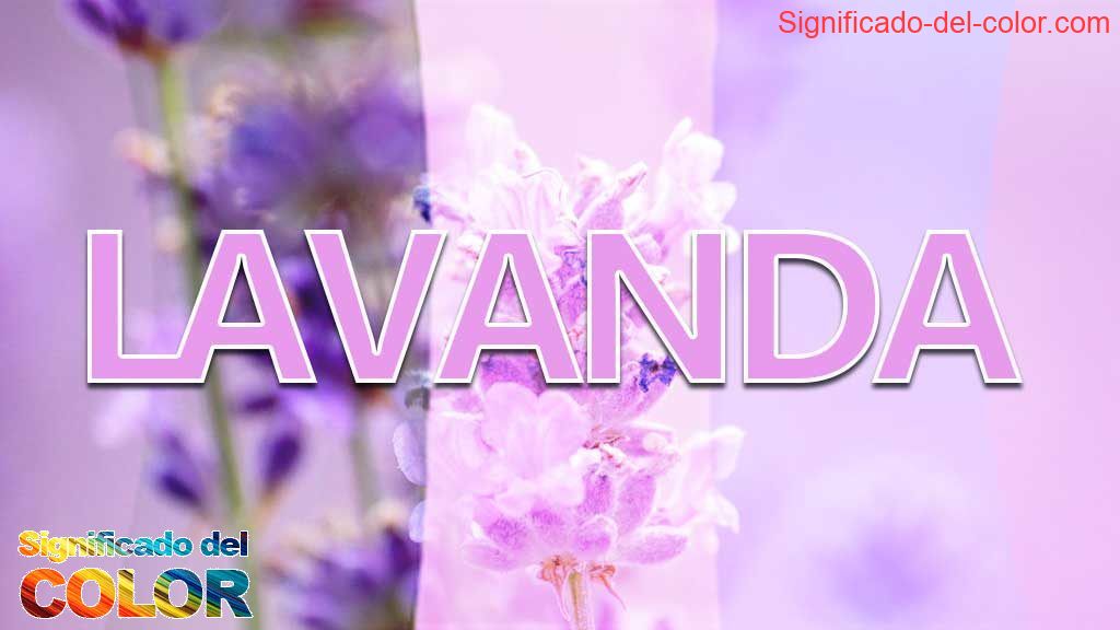 Color Lavanda: Significado y Psicología 🤔 Significado de los Colores